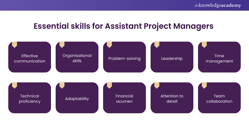 Assistant Project Manager Job Description: A Detailed Look